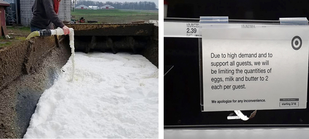Farmers forced to dump milk while stores limit consumer purchases | Ag Moos