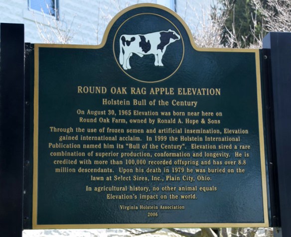 A plea for Eve: ‘She deserves our every consideration. She earned it ...