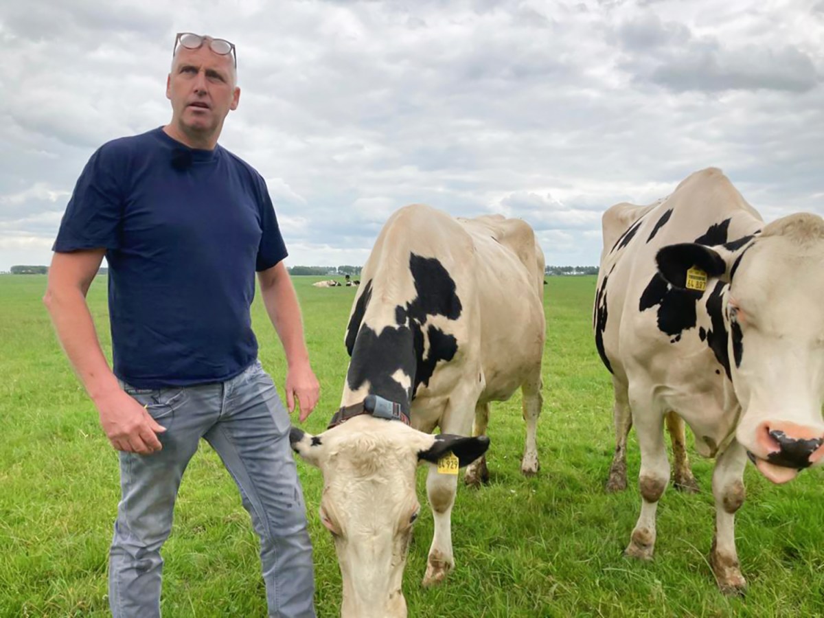 Dutch farmer protest update: What if you woke up tomorrow and learned ...